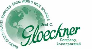 Speedling Incorporated Gloeckner logo new - Speedling Incorporated